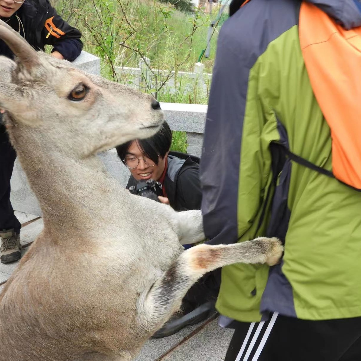 Album - HuiLing Liu's homepage